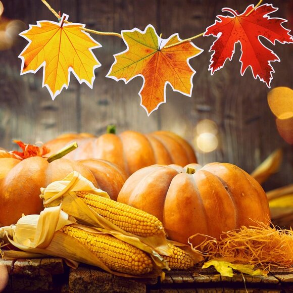 Other | Fall Bulletin Board Decorations Fall Cutouts For Classroom ...